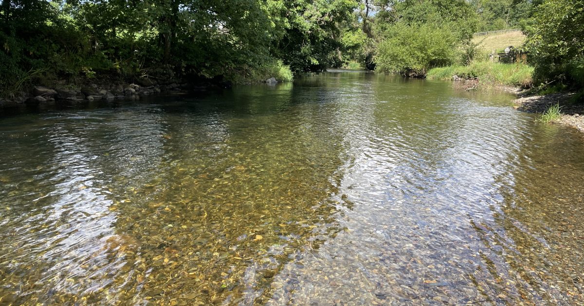 Volunteer with West Cumbria Rivers Trust | LANSS