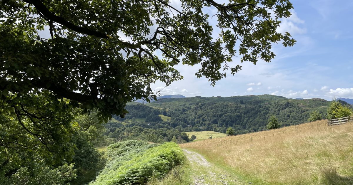 Introduction to Land-based Training with Kendal College | LANSS